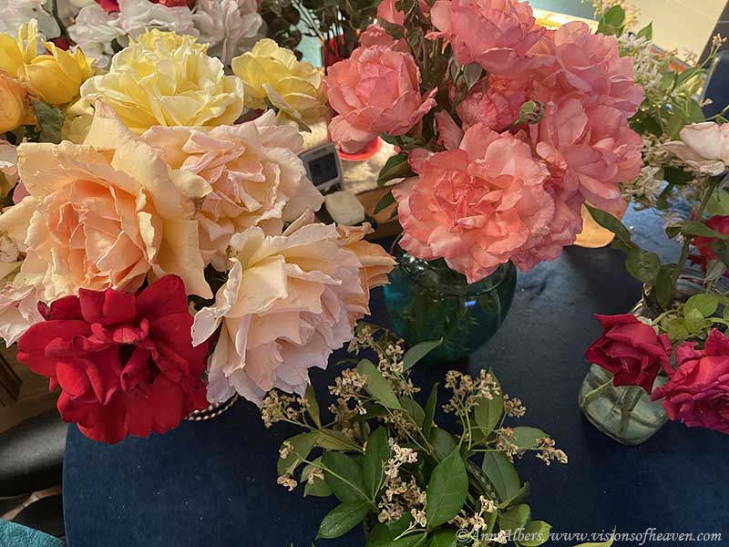 Messages from Ann and the Angels - 06/13/2026